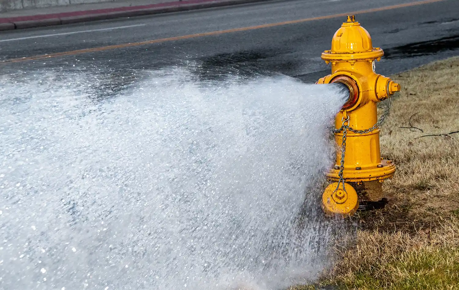 Fire Hydrant Supplier in the Philippines